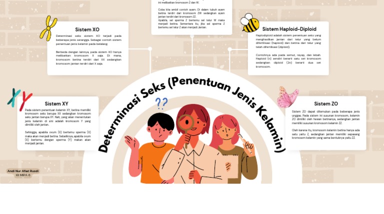 Determinasi Seks Mind Map | PDF