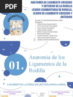 Liberacion Retinaculo Rodilla | PDF | Rodilla | Sistema musculoesquelético