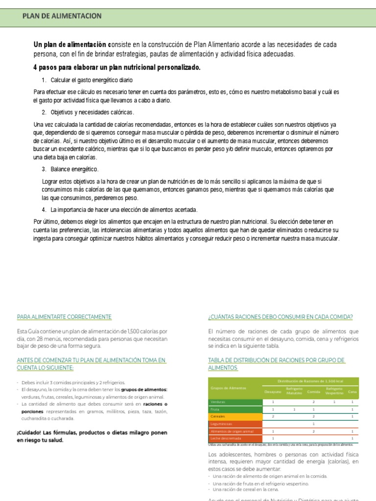 Plan Alimentario | PDF