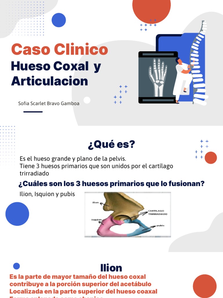 Huesos Coxales | PDF | Articulación | Pelvis