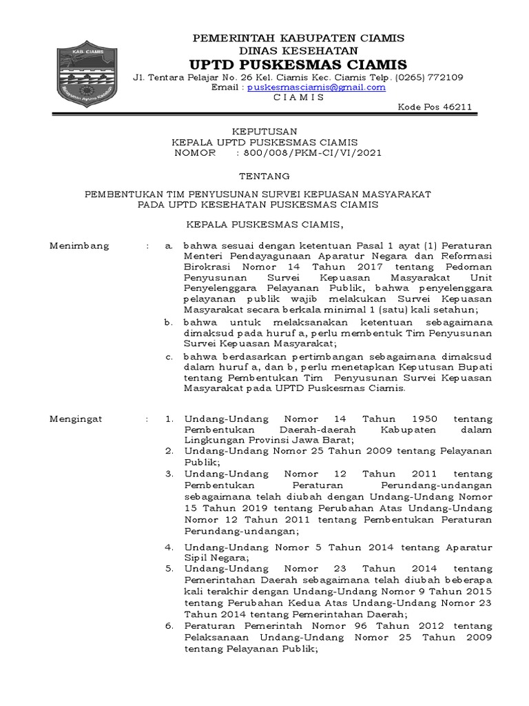 SK Tim Penyusunan SKM Puskesmas Ciamis | PDF