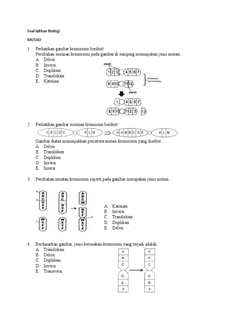 Soal Latihan Biologi | PDF