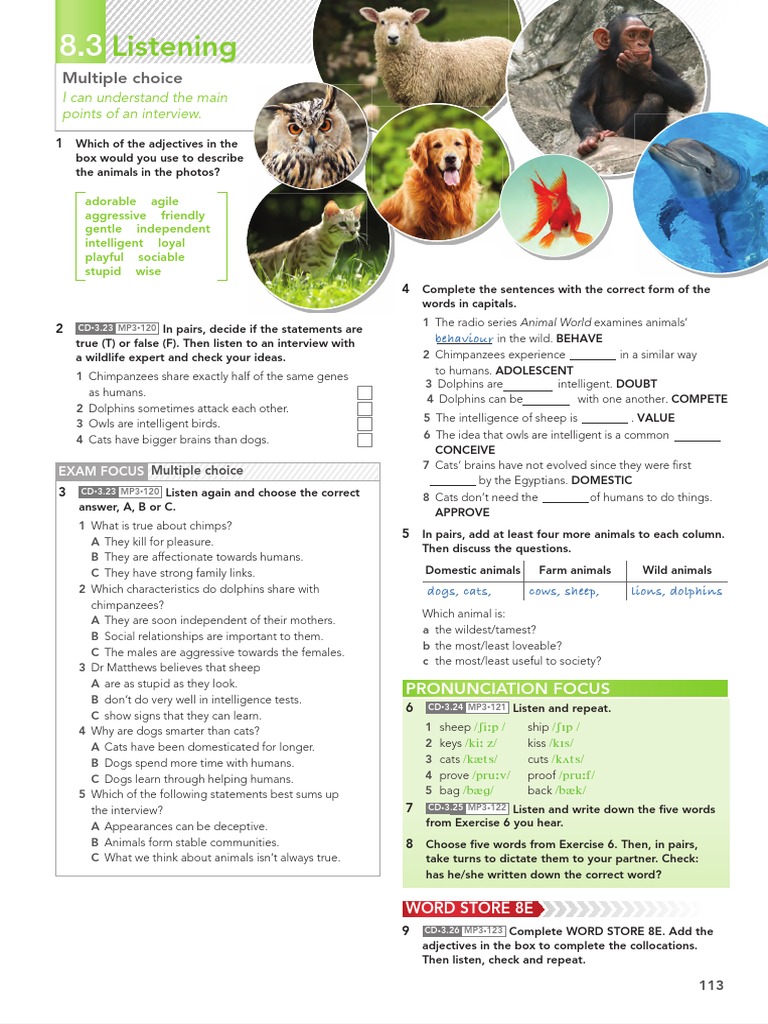 Focus 4 - Students - Book 113 | PDF | Chimpanzee | Cats