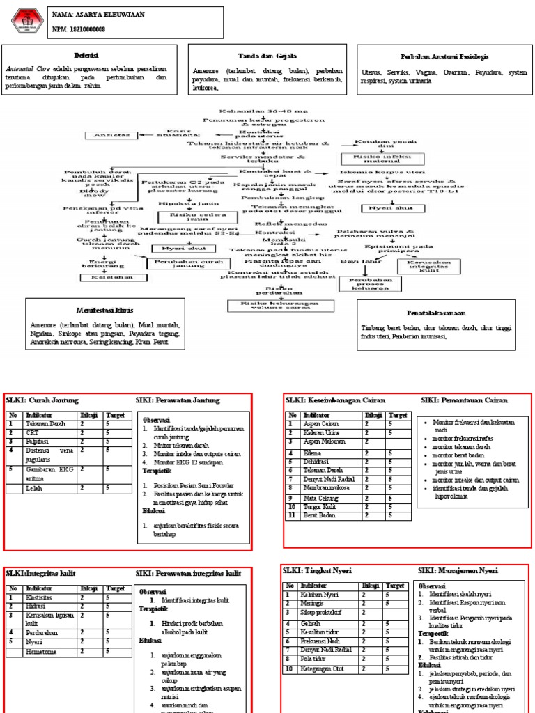 Woc Anc Fisiologis | PDF