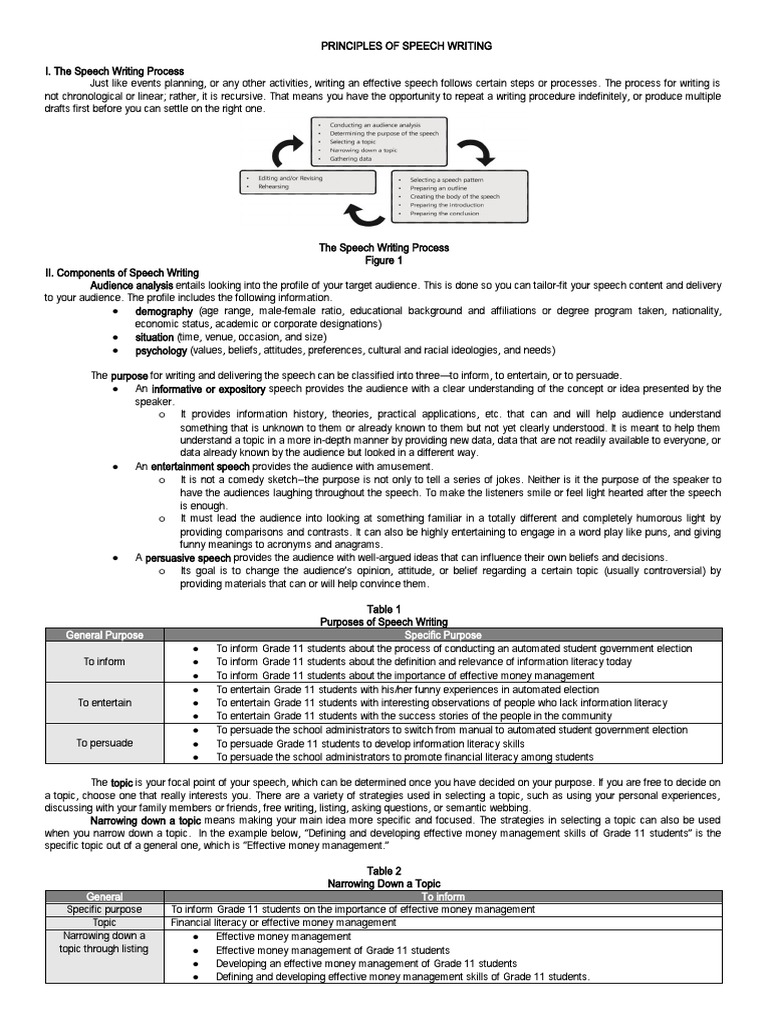 Principles of Speech Writing | PDF | Experience | Information
