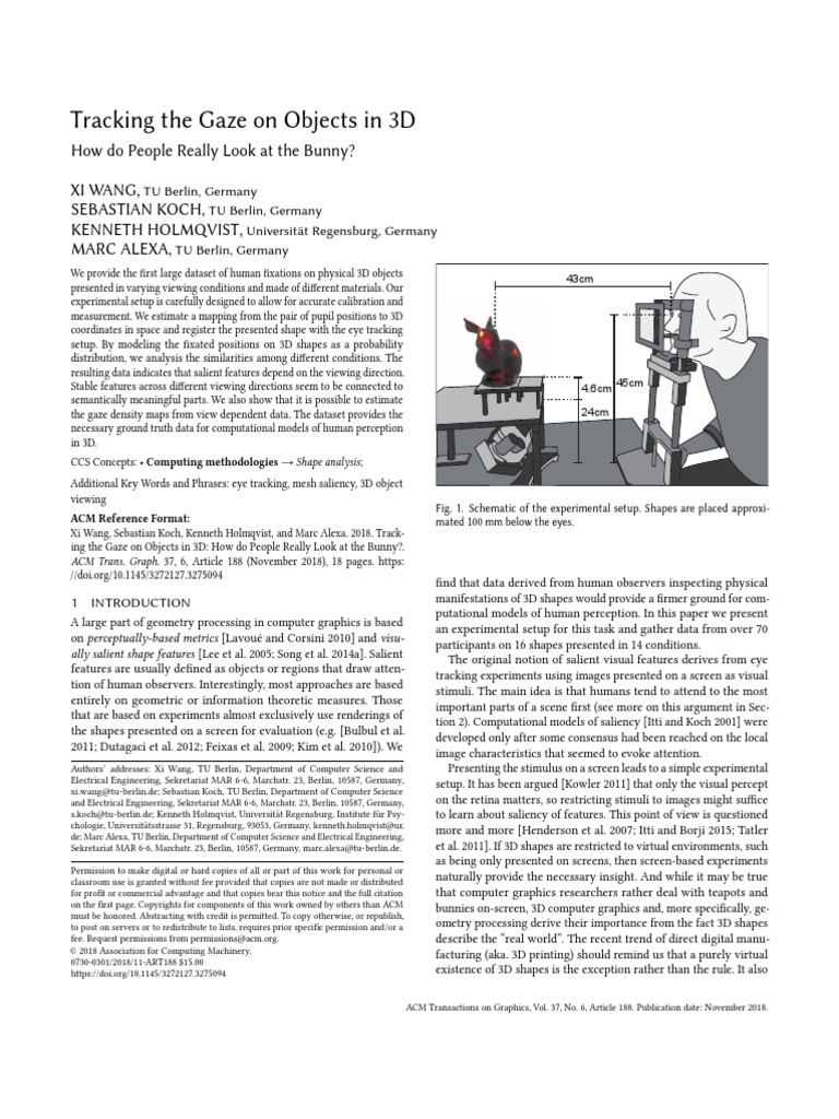 A188 Wang | PDF | Stereoscopy | Perception