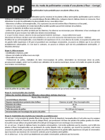 Sporulation et structure des spores bactériennes | PDF | Spore | Biologie