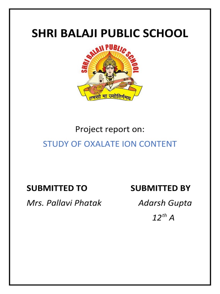 Chemistry Project Class 12th CBSE | PDF | Titration | Chemistry