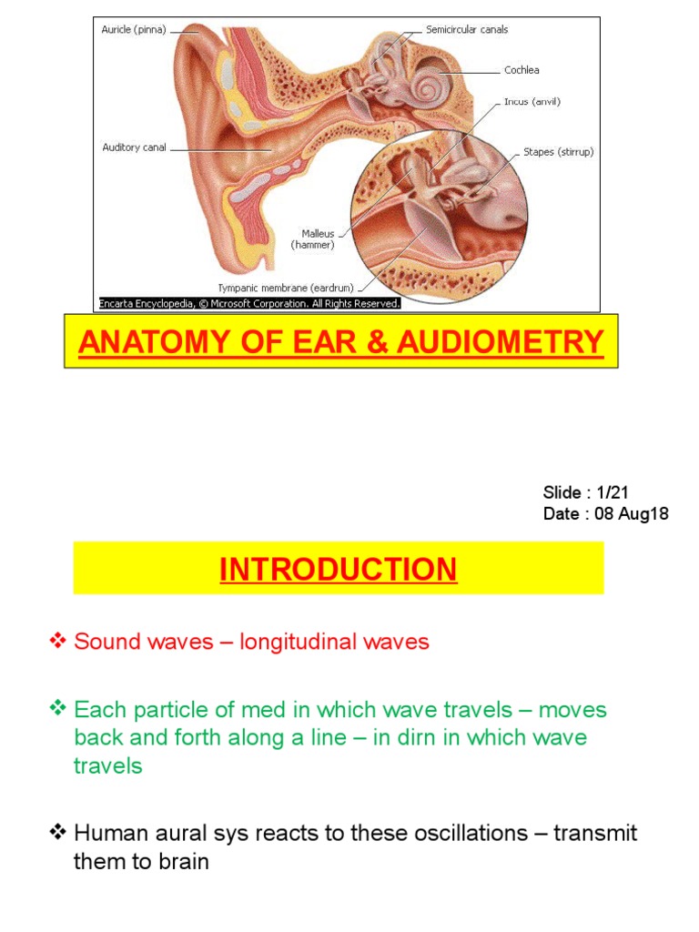 Anatomy of Ear & Audiometry | Download Free PDF | Hearing | Ear