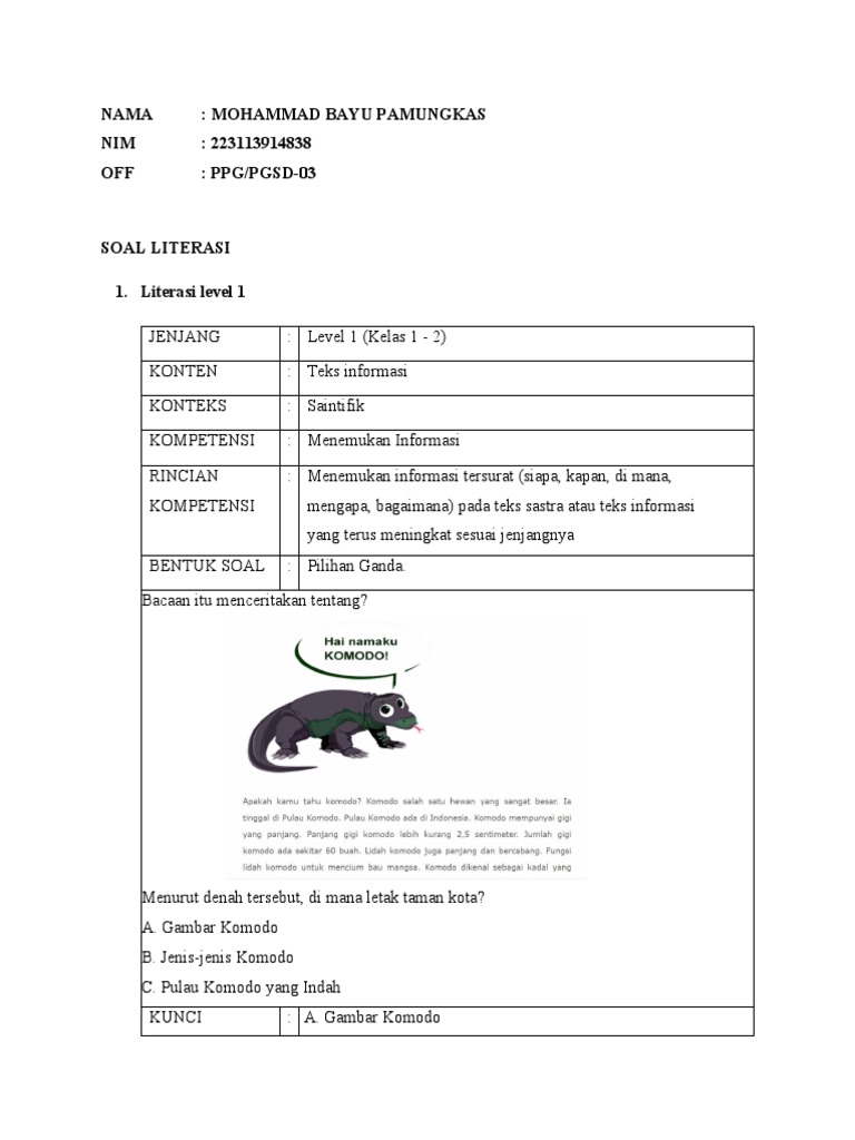 Soal Akm Level 1-3 | PDF