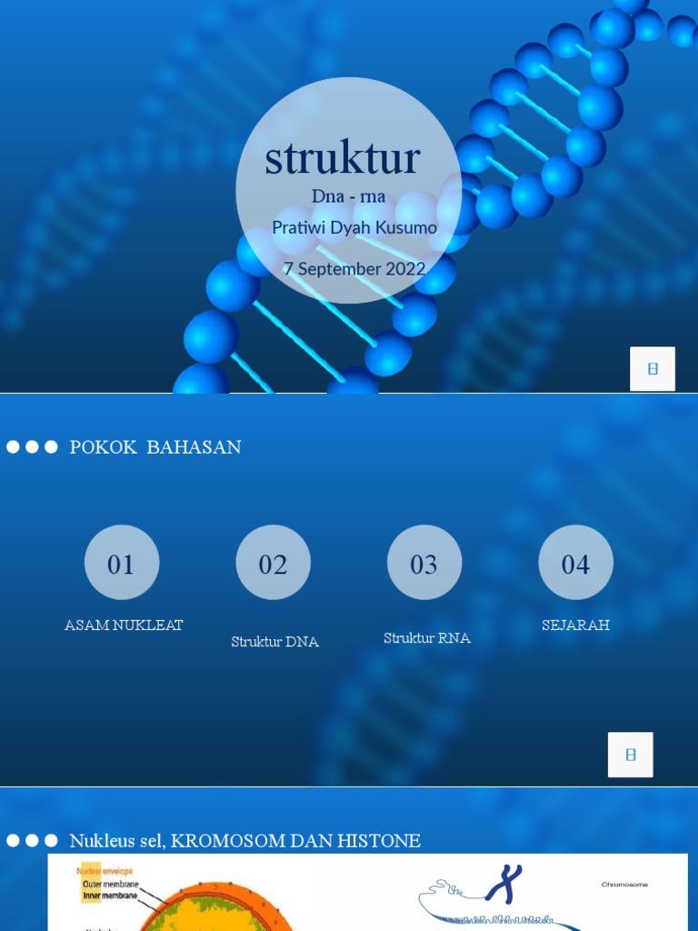 Struktur DNA RNA | PDF