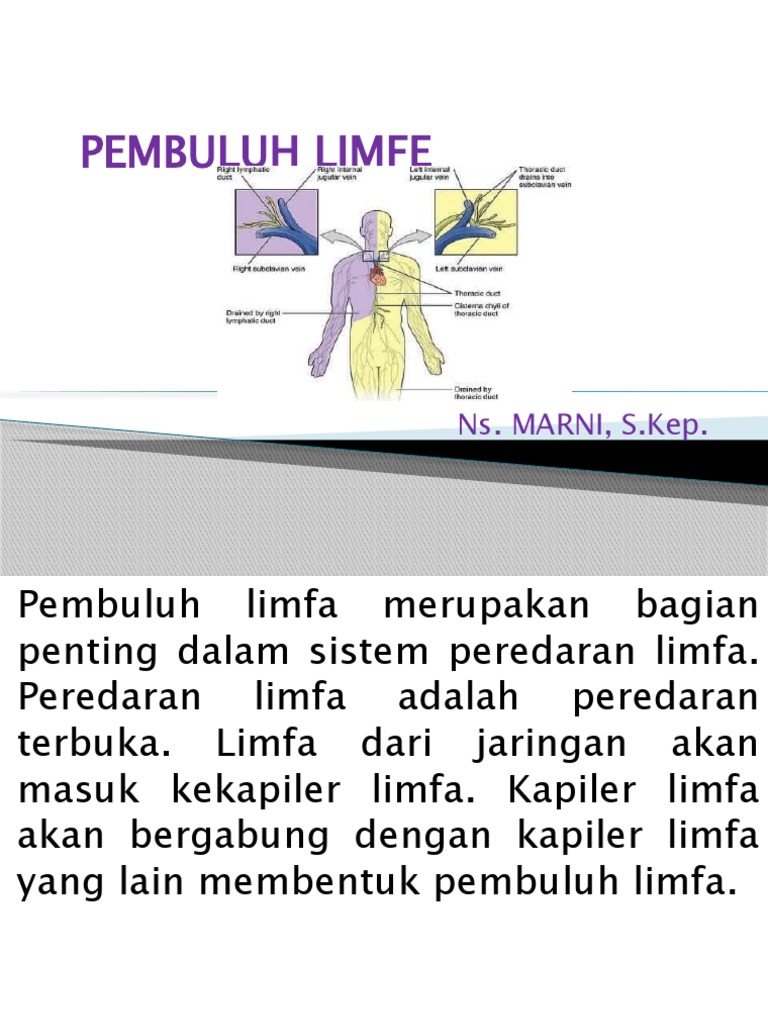 Pembuluh Limfe | PDF | Kesehatan Holistik | Sains & Matematika