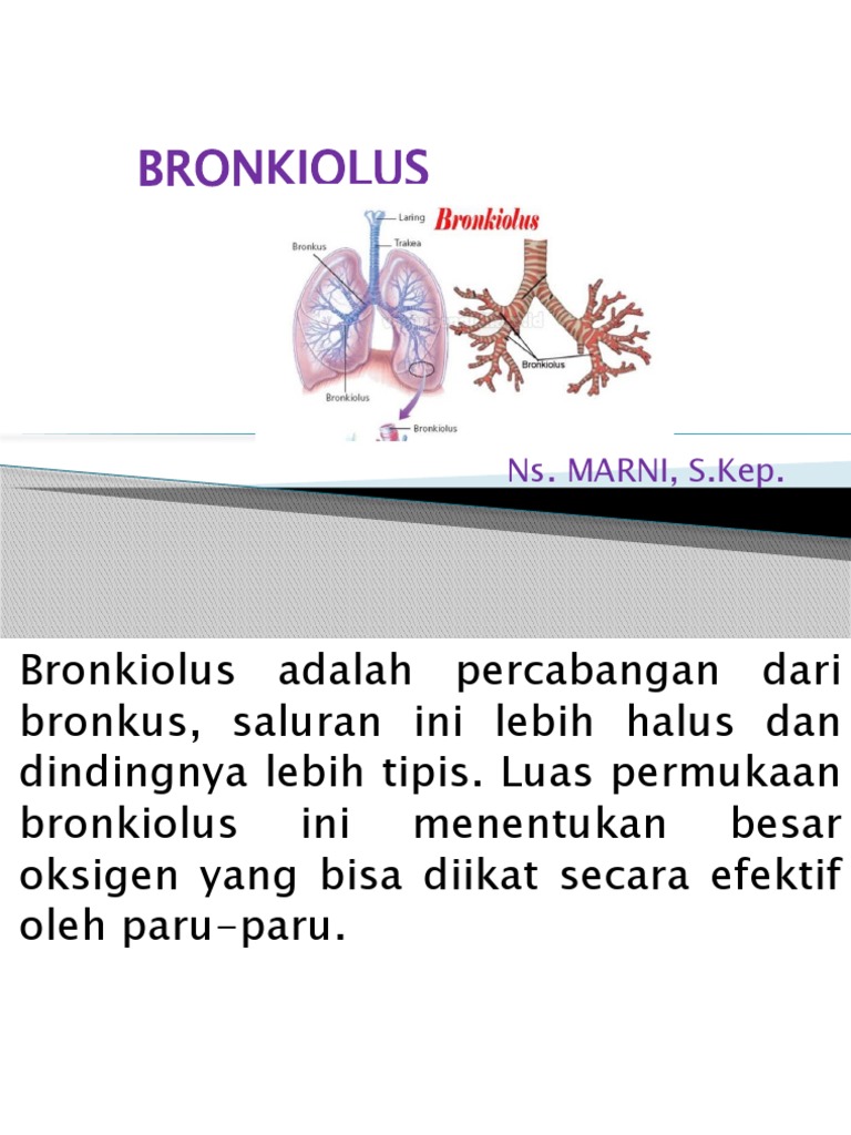 Fungsi dan Letak Bronkiolus dalam Pernapasan | PDF