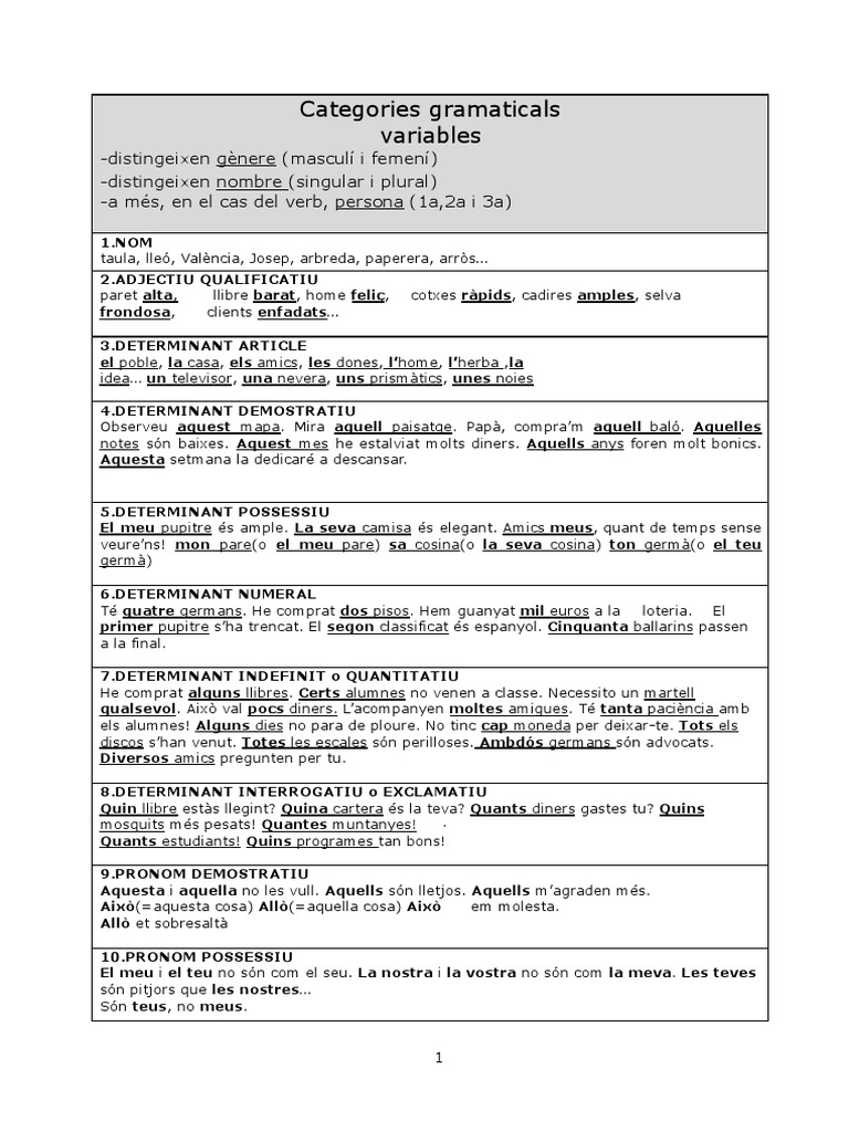 Categories Gramaticals EXERCICIS | PDF