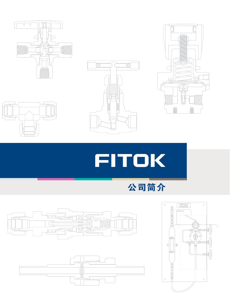 FITOK Company Brochure ZH | PDF