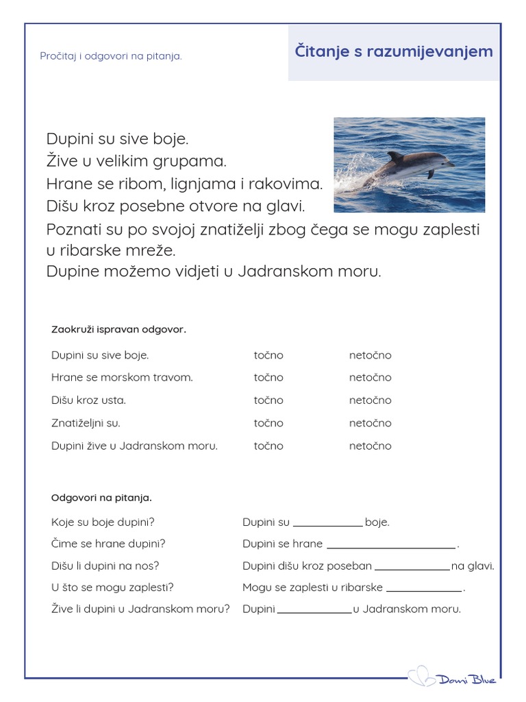 Citanje S Razumijevanjem Dupin 6 520 | PDF