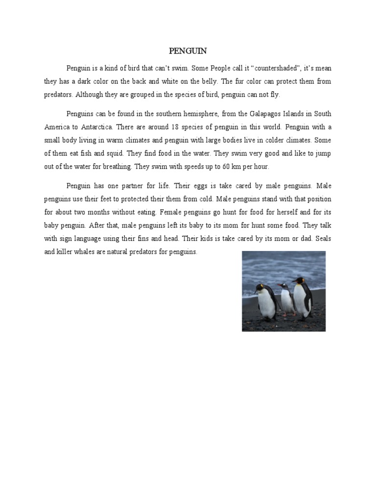 Penguin: Characteristics and Habitat | PDF | Home & Garden