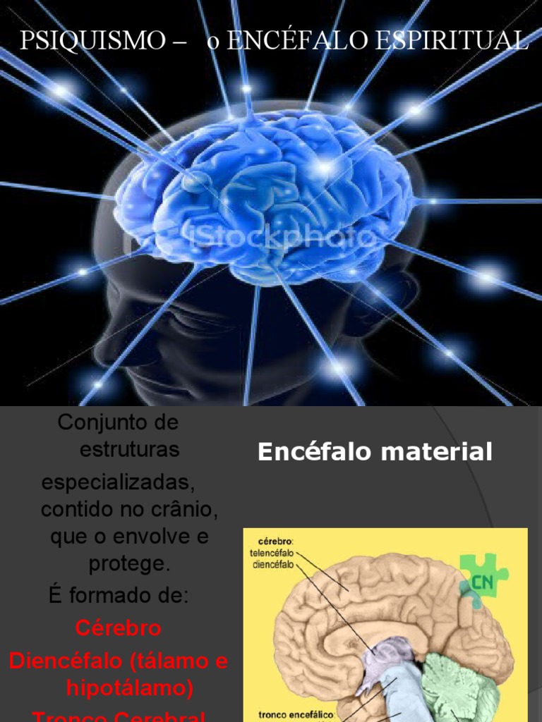 Psiquismo 4 | PDF | Cérebro | Corpo humano