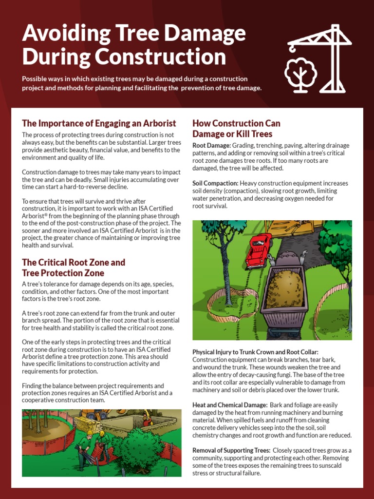 Avoid Damage During Construction - 0721 | PDF | Trees | Root