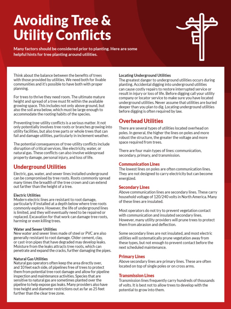 Avoid Utility Conflict - 0621 | PDF | Trees