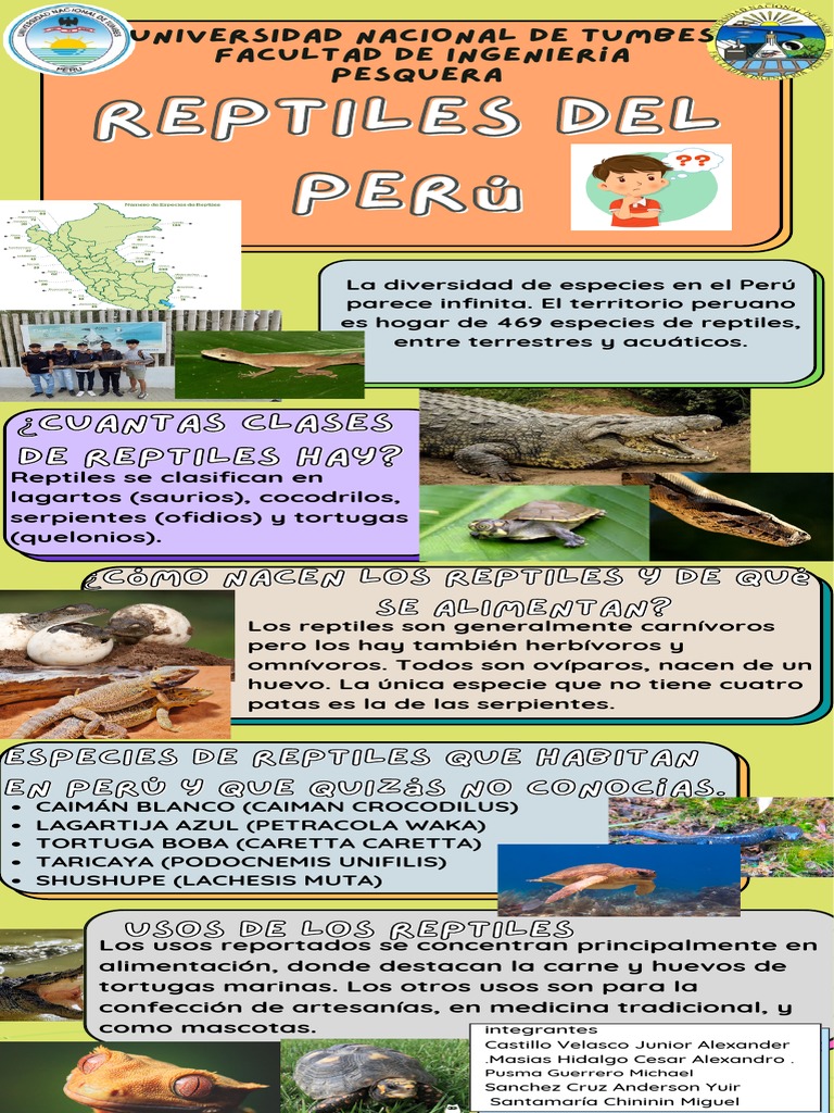 Infografía Reptiles Del Perú | PDF