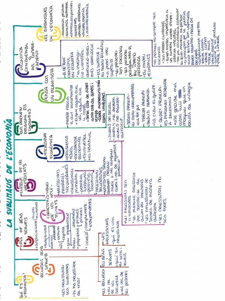 Mapa Conceptual | PDF