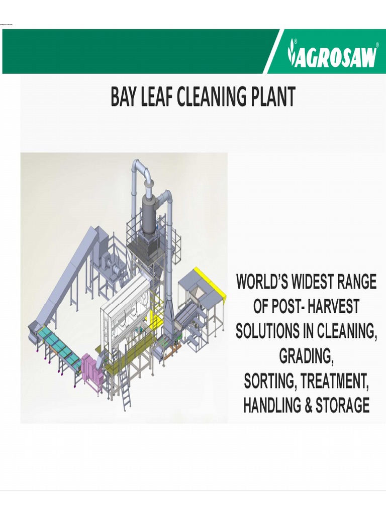 Bay Leaf Cleaning Plant Literature | PDF | Science & Mathematics ...