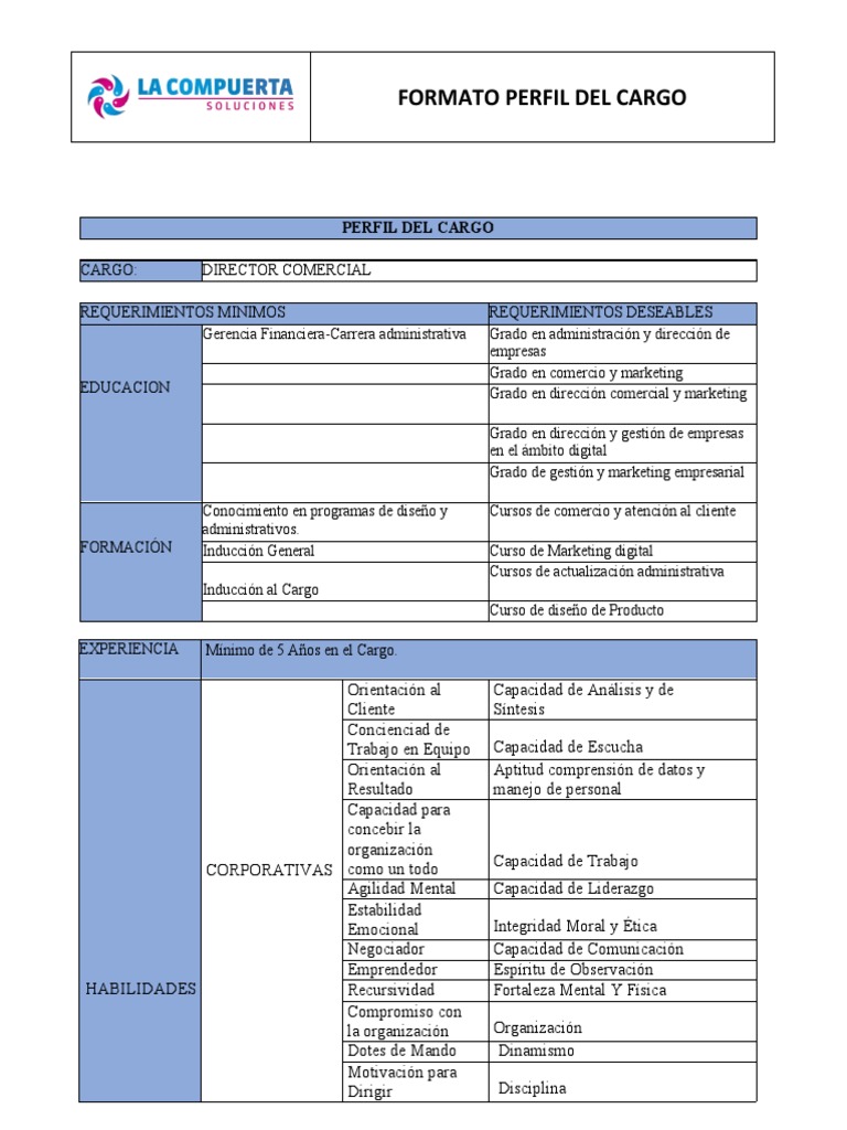 Formato Perfil Del Cargo | PDF