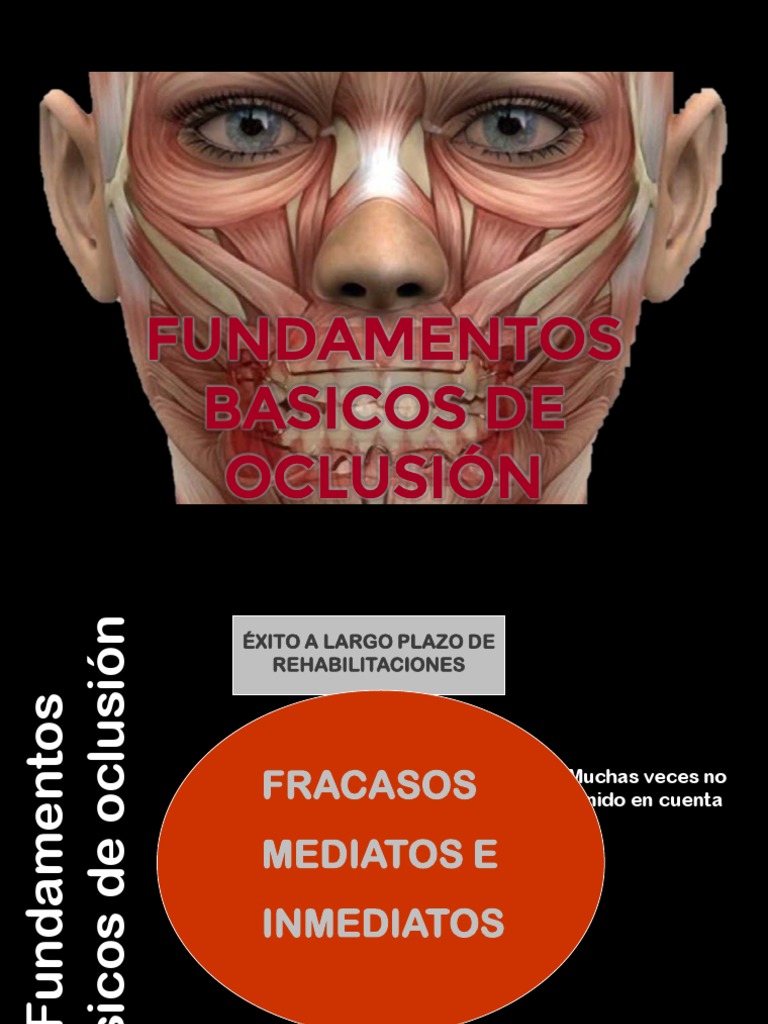 Tema 4 INTRODUCCION A LA OCLUSION | PDF | Odontología | Dentadura postiza
