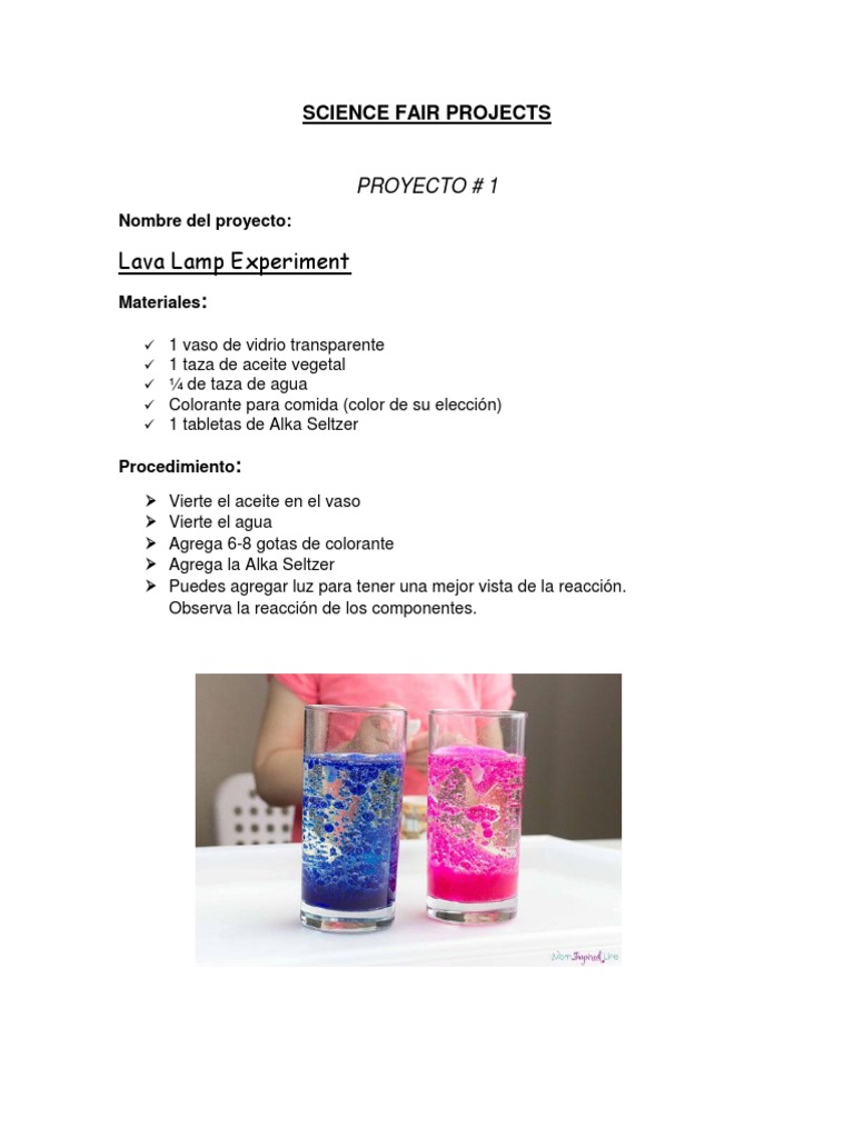 Science Fair Project | PDF