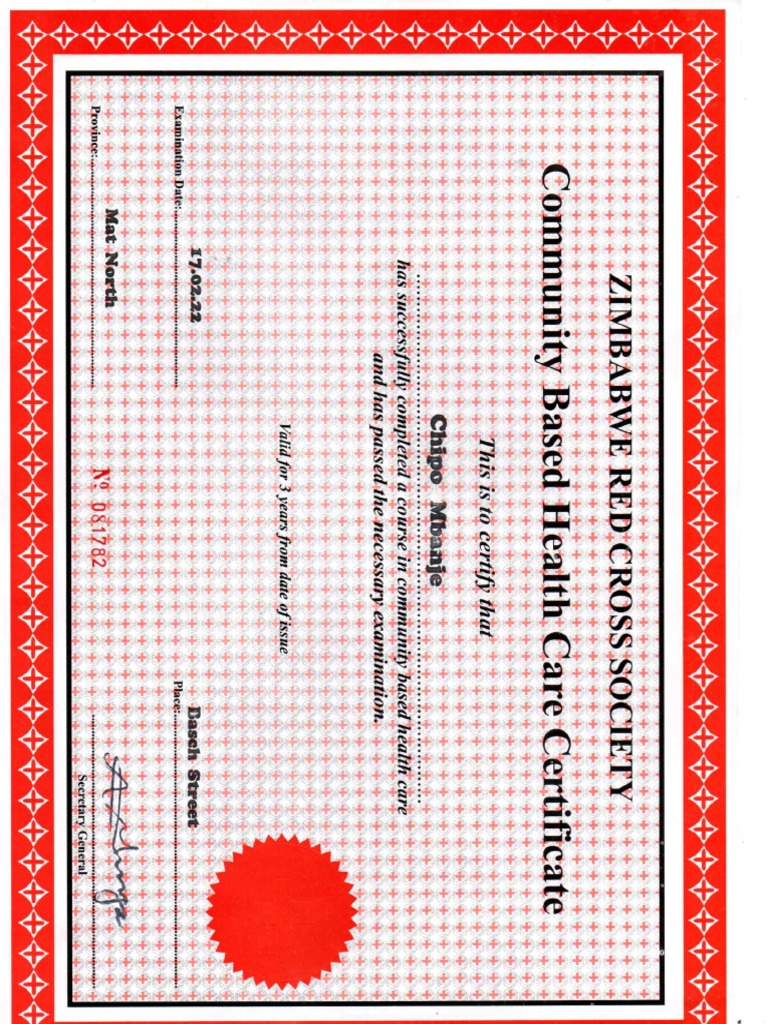 Chipo's Documents | PDF