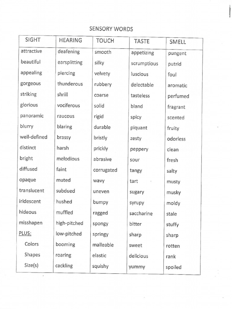 Sensory Words | PDF
