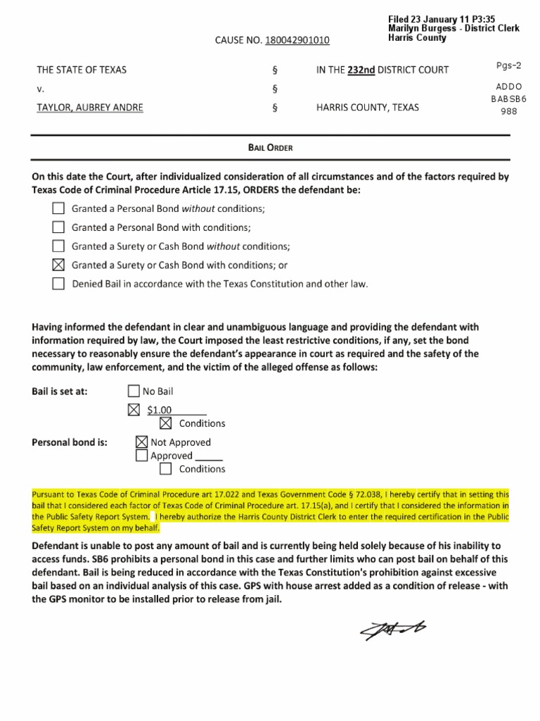 Harris County District Clerk Filing Details | PDF