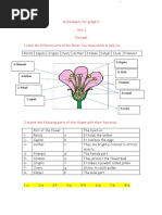 Cambridge Primary Science Test | PDF | Flowers | Water