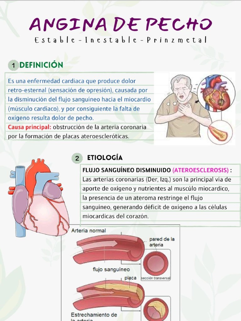 Angina de pecho: causas, tipos y tratamiento | PDF | Aterosclerosis ...