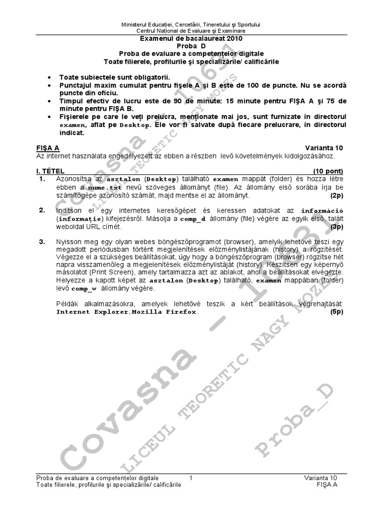 D Competente Digitale Subiect 10 Fisa A LMG | PDF