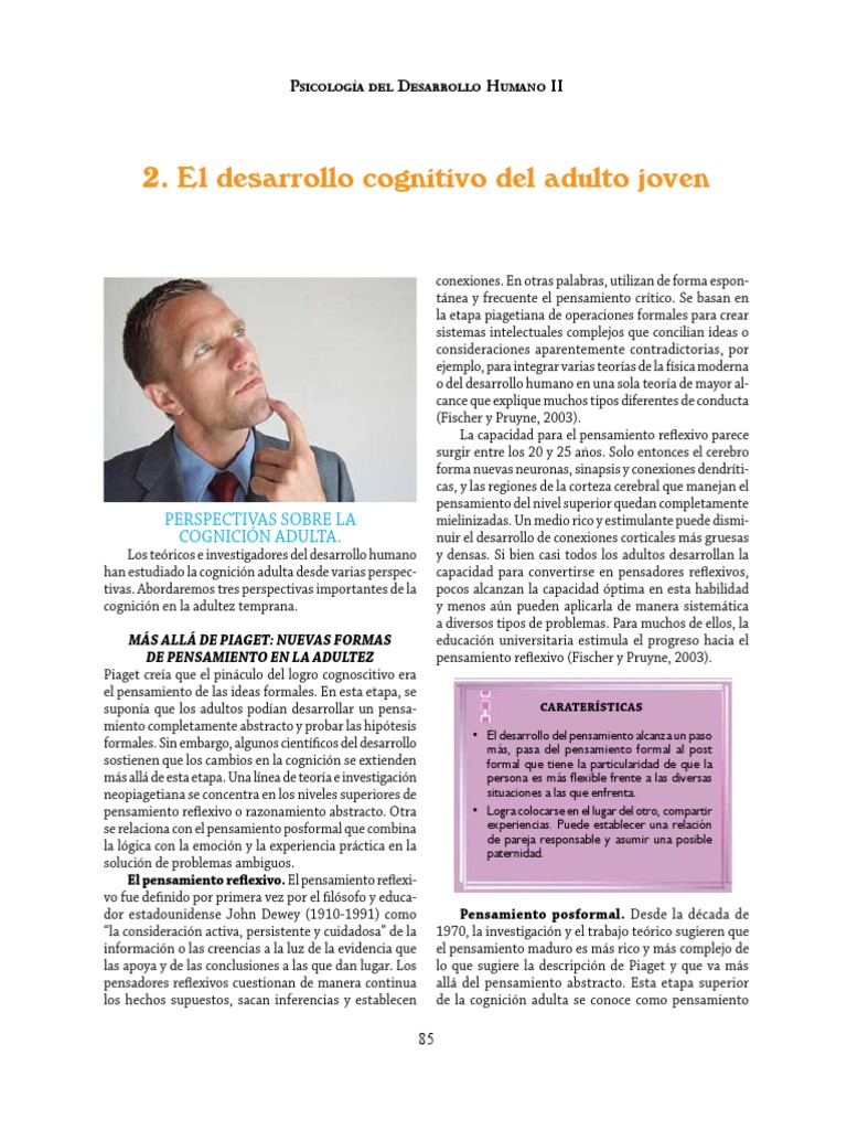 Desarrollo Cognitivo Del Adulto Joven | PDF | Adultos | Pensamiento
