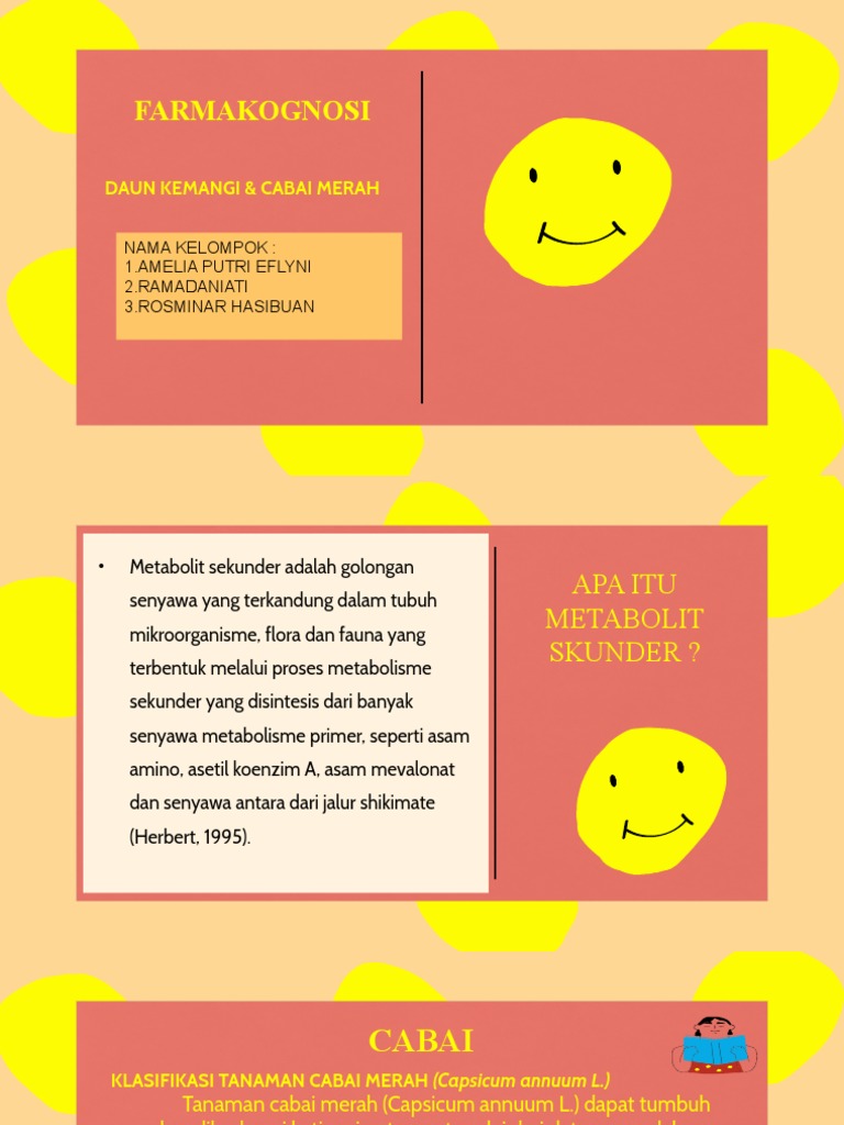 Farmakognosi Simplisia Cabe Dan Kemangi | PDF