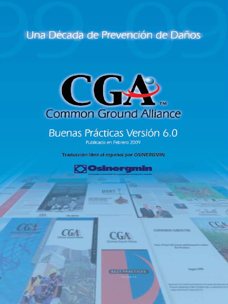CGA - Buenas Practicas FINAL | PDF