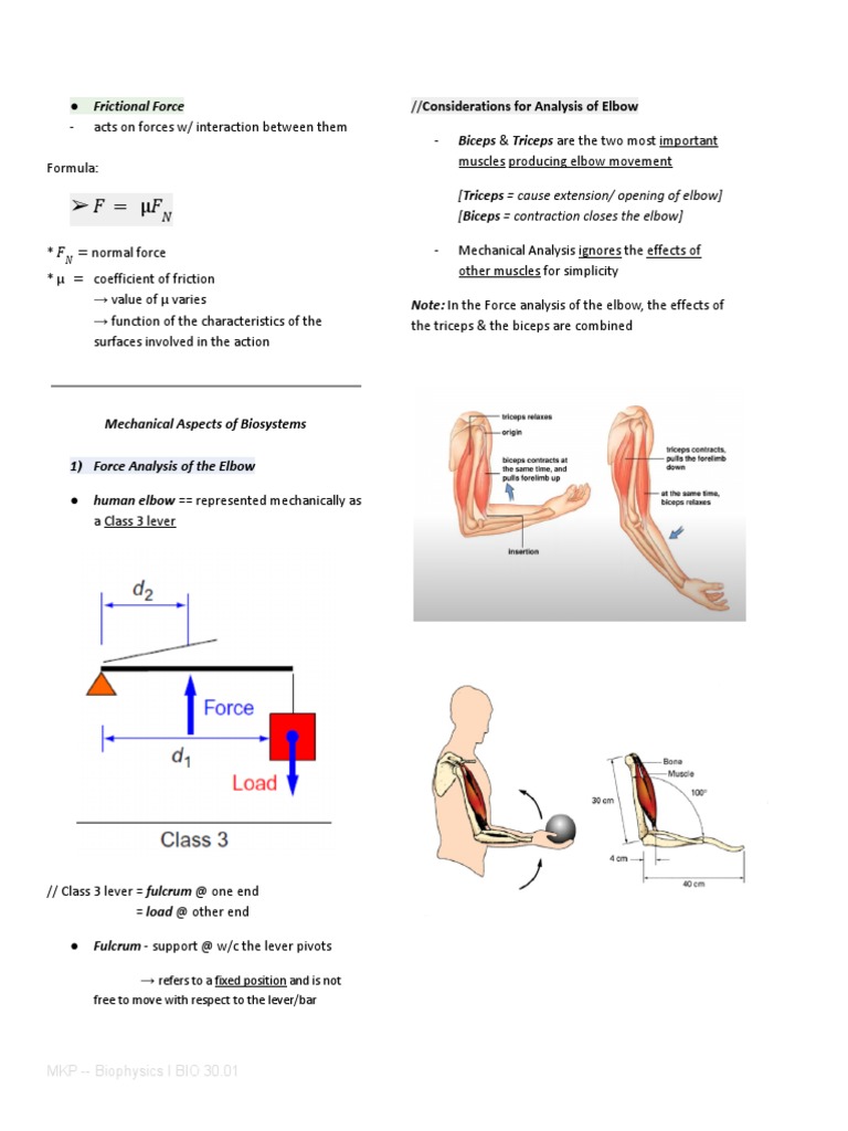 Mechanical Aspects of Biosystems | Download Free PDF | Lever | Force