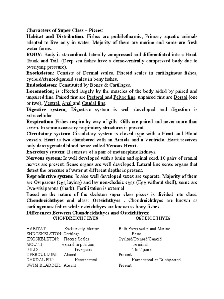 Understanding Pisces: Fish Anatomy | PDF | Fish | Anatomy