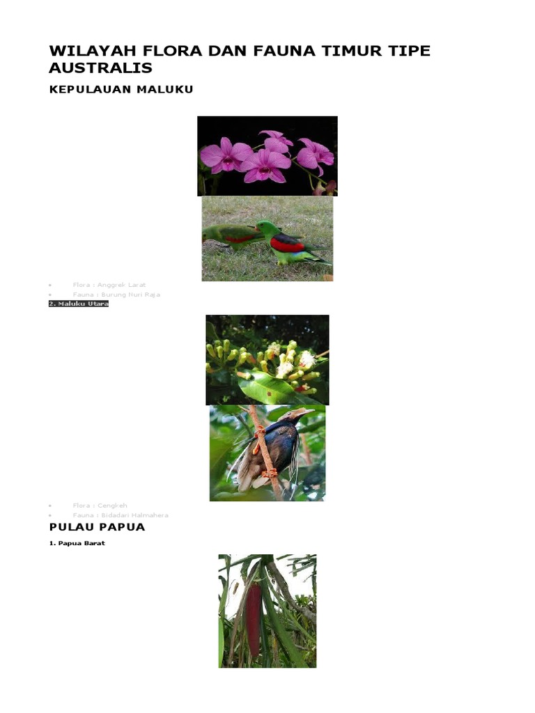 Wilayah Flora Dan Fauna Timur Tipe Australis | PDF