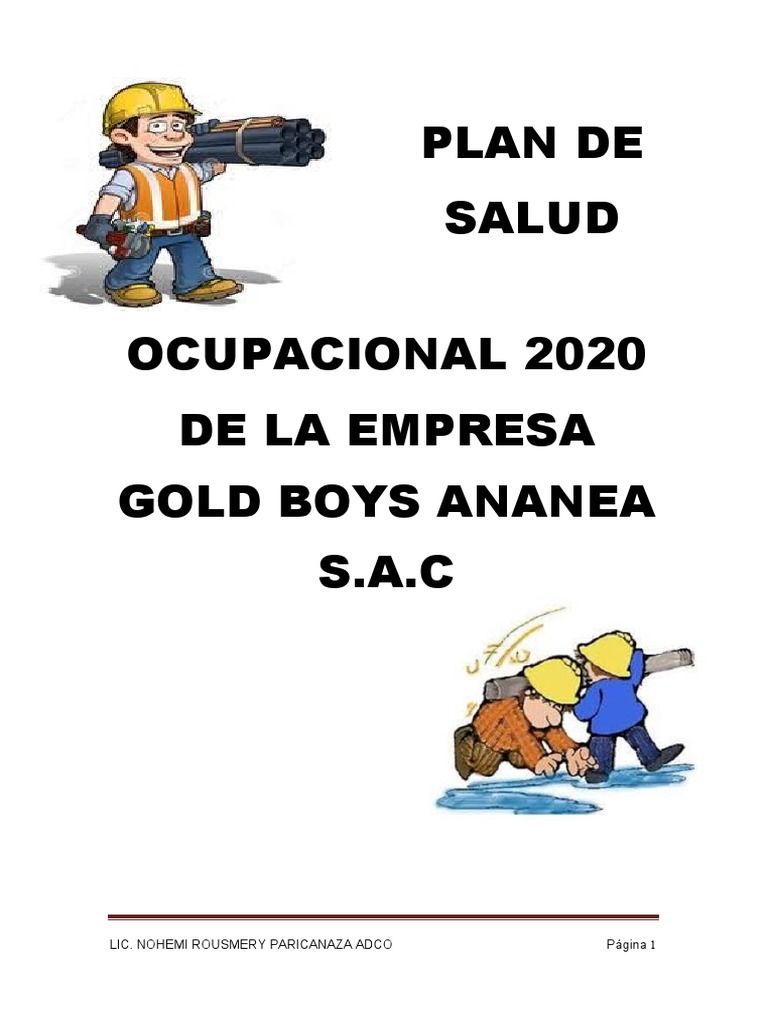 Plan de Salud Ocupacional | PDF | Seguridad y salud ocupacional | Hospital