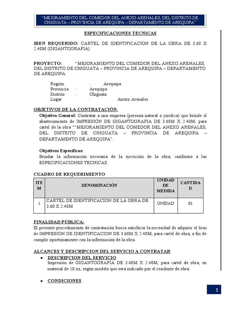 Especificaciones Tecnicas Cartel | PDF | Business | Economias