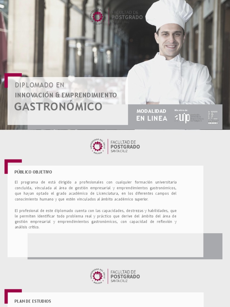Editable Diplomado En Innovación Emprendimiento Gastronómico V3 Pdf