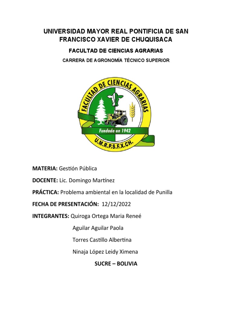 Problematica de Deforestación Punilla | PDF | Deforestación | Los bosques