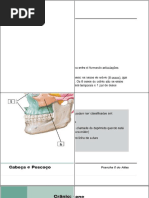 NETTER FLASH CARDS PORTUGUÊS - Colorido | PDF | Pescoço | Anatomia