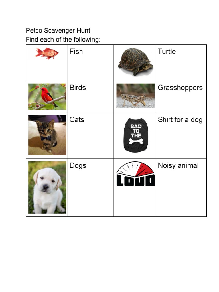 Petco Scavenger Hunt | PDF