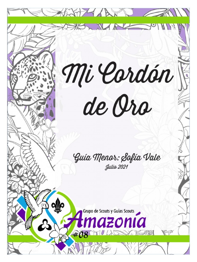 Recomendación de Sofía Vale para Cordón de Oro | PDF | Exploración