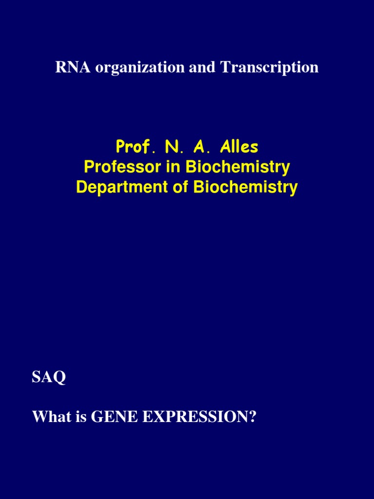 25 LN RNA Organization and Transcription CNRAA | PDF | Rna | Promoter ...